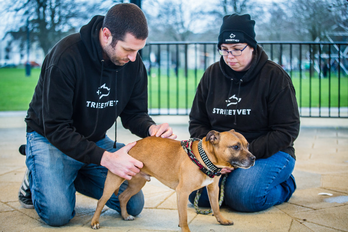 StreetVet Pet Charity | Barking Bags | Blog | Read more